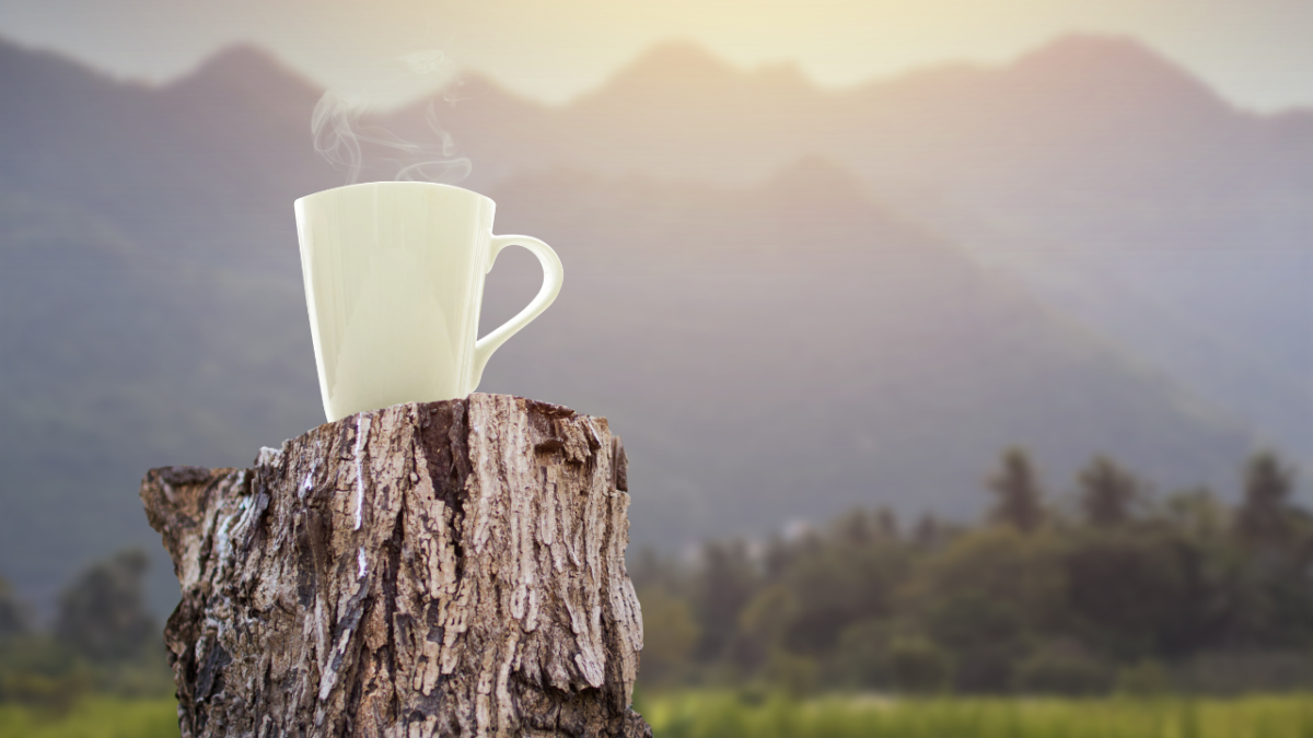 Comprehensive Support in Addiction Recovery | Recovery Café